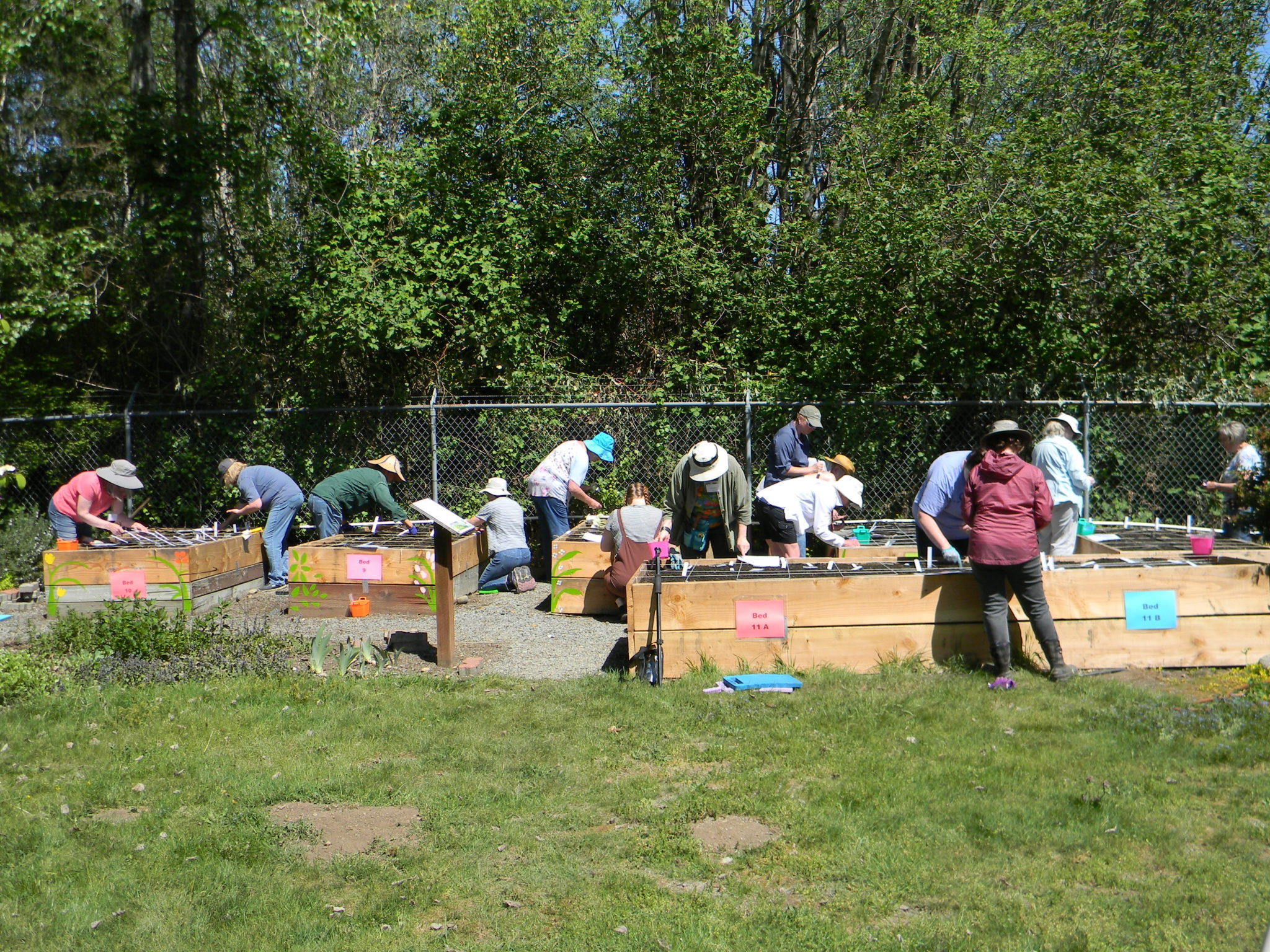 Master Gardener Foundation of Thurston County - Helping gardeners grow!