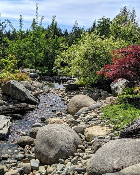 Master Gardener Foundation of Thurston County - Helping gardeners grow!