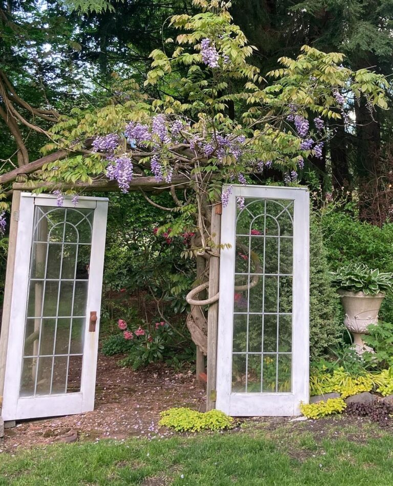 Master Gardener Foundation of Thurston County - Helping gardeners grow!