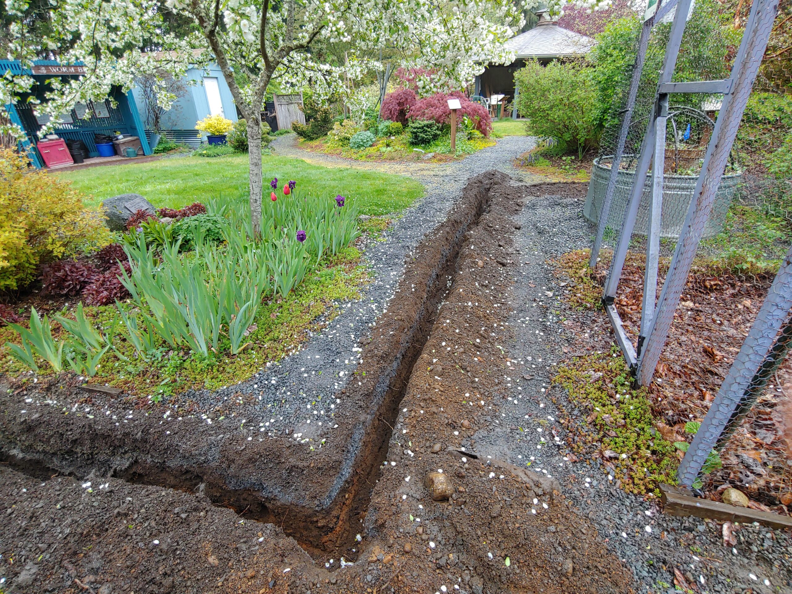 Irrigation Project - Master Gardener Foundation of Thurston County