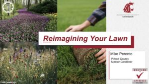 Master Gardener Foundation of Thurston County - Helping gardeners grow!